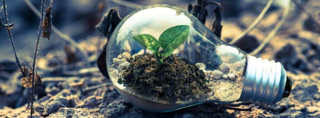 Green Insurance Providers. Eco friendly, ethical insurance.